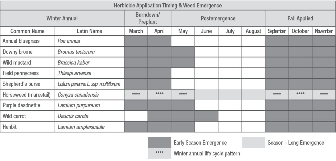 Weed Calendar for the South | Crop Science US