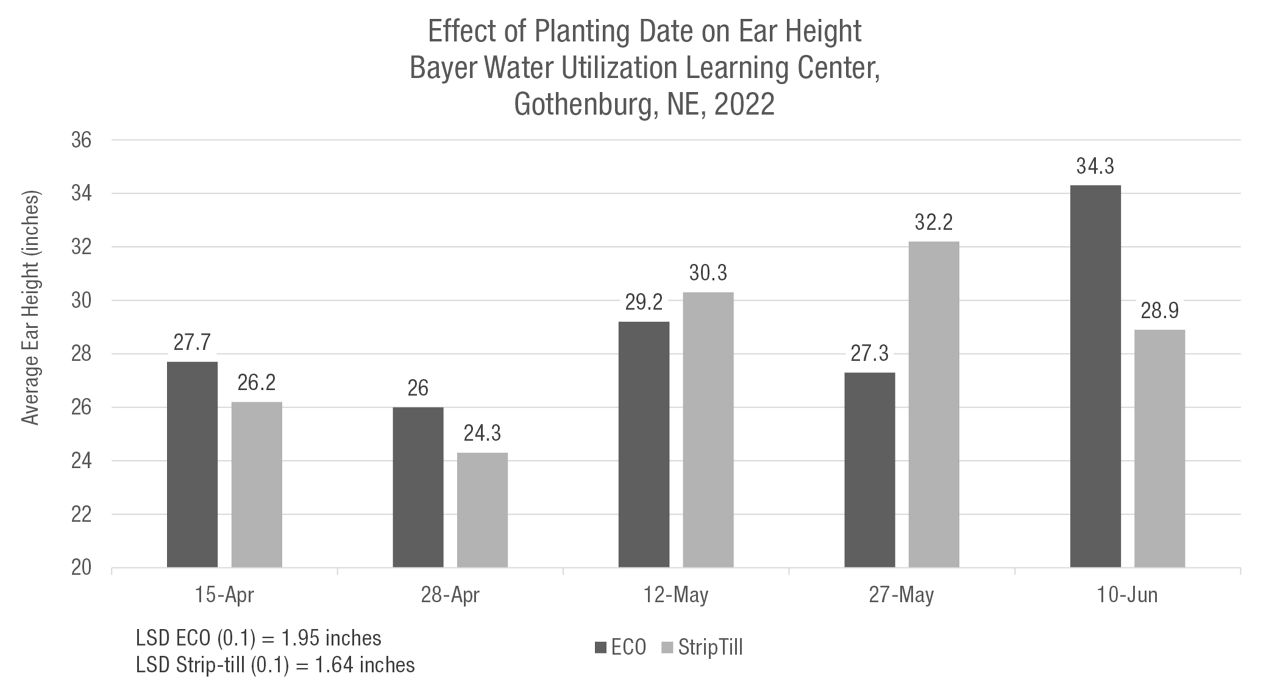 Effect of Planting Date on Short-Statured Corn Products | Crop Science US
