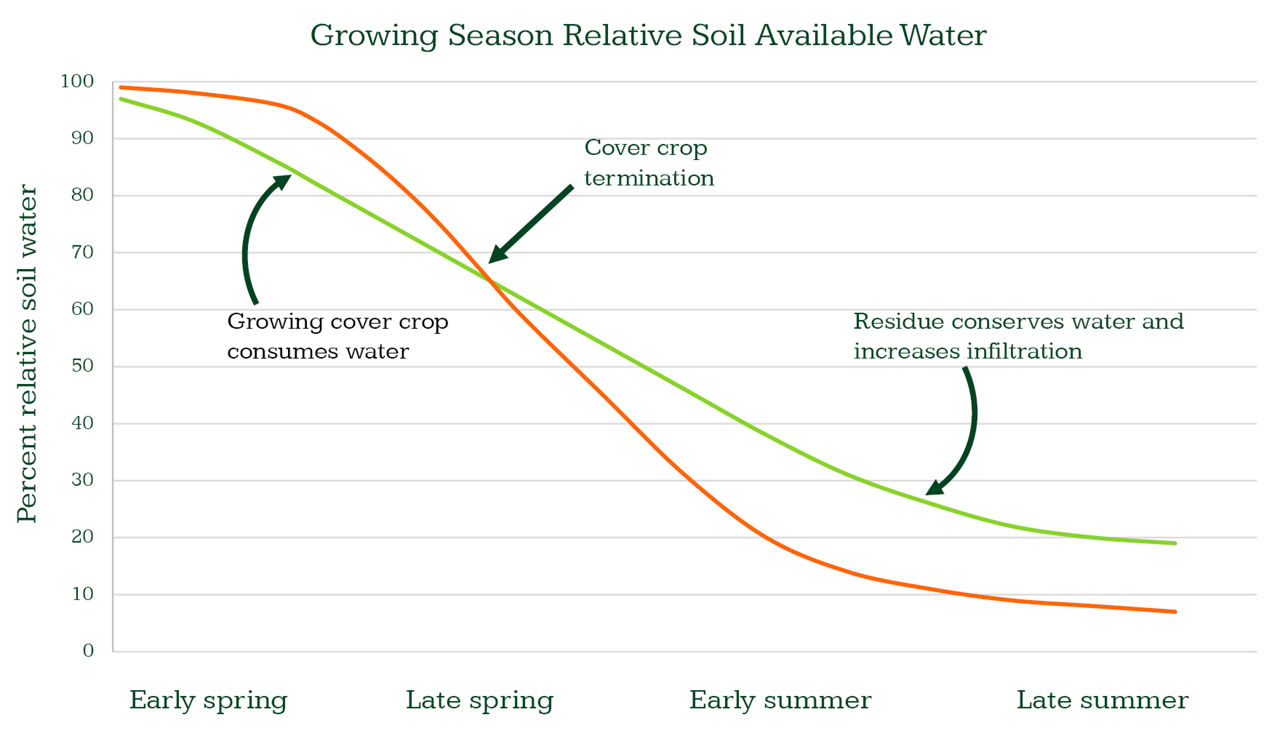 Managing for Spring Cover Crop Moisture Consumption Starts in the Fall ...