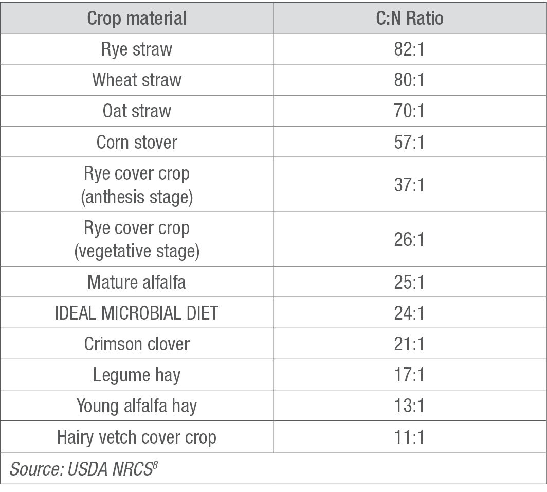 How Can Cover Crops Benefit my Nutrient Management Plan? | Crop Science US