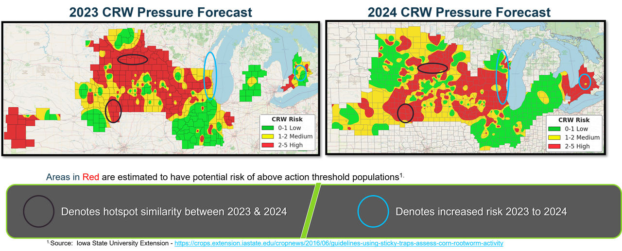 Using 2023 Corn Rootworm Beetle Counts to Assess the Risk of Economic ...