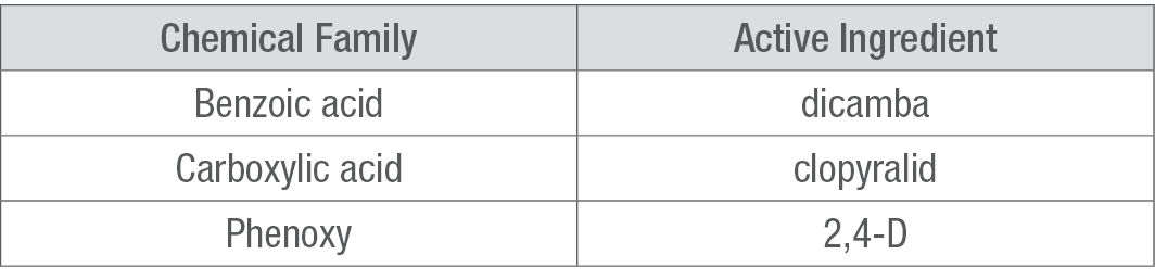 Corn Herbicide Mode of Action | Crop Science US