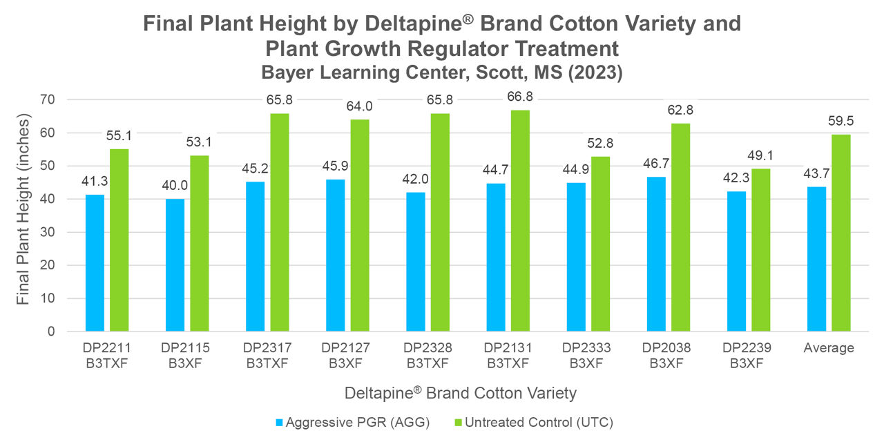 The Response of Deltapine Brand Cotton Varieties to PGR Applications ...