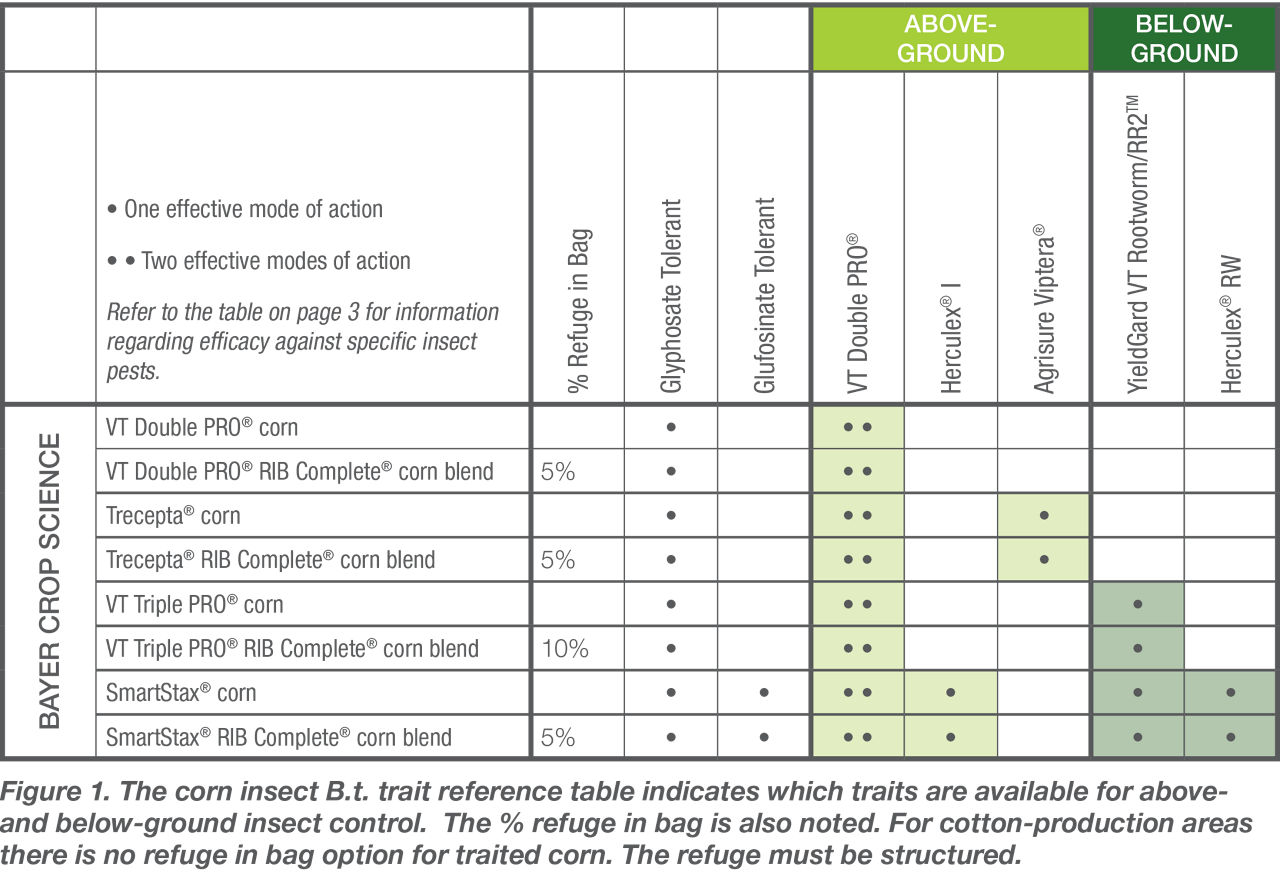 Selecting Traits for Managing Corn Insects | Crop Science US