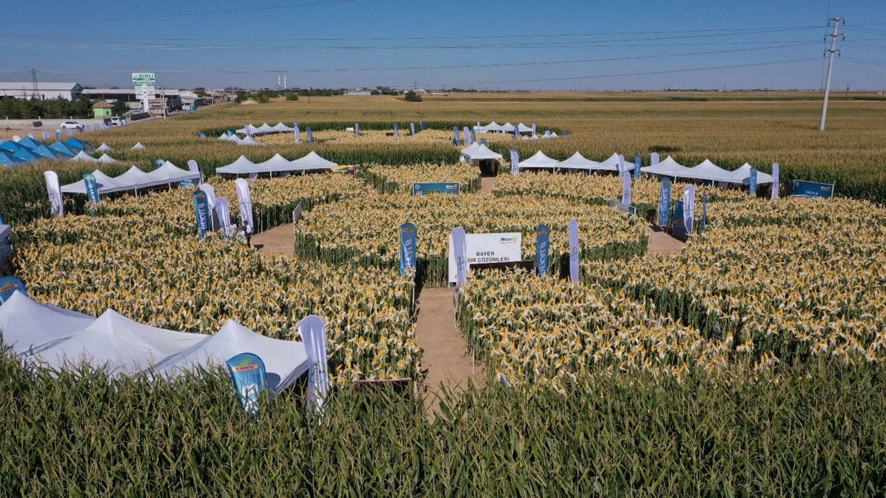 BAYER Agro Arena Etkinliğinde Aksaray’da 1500 Mısır Çiftçisiyle Buluştu ...