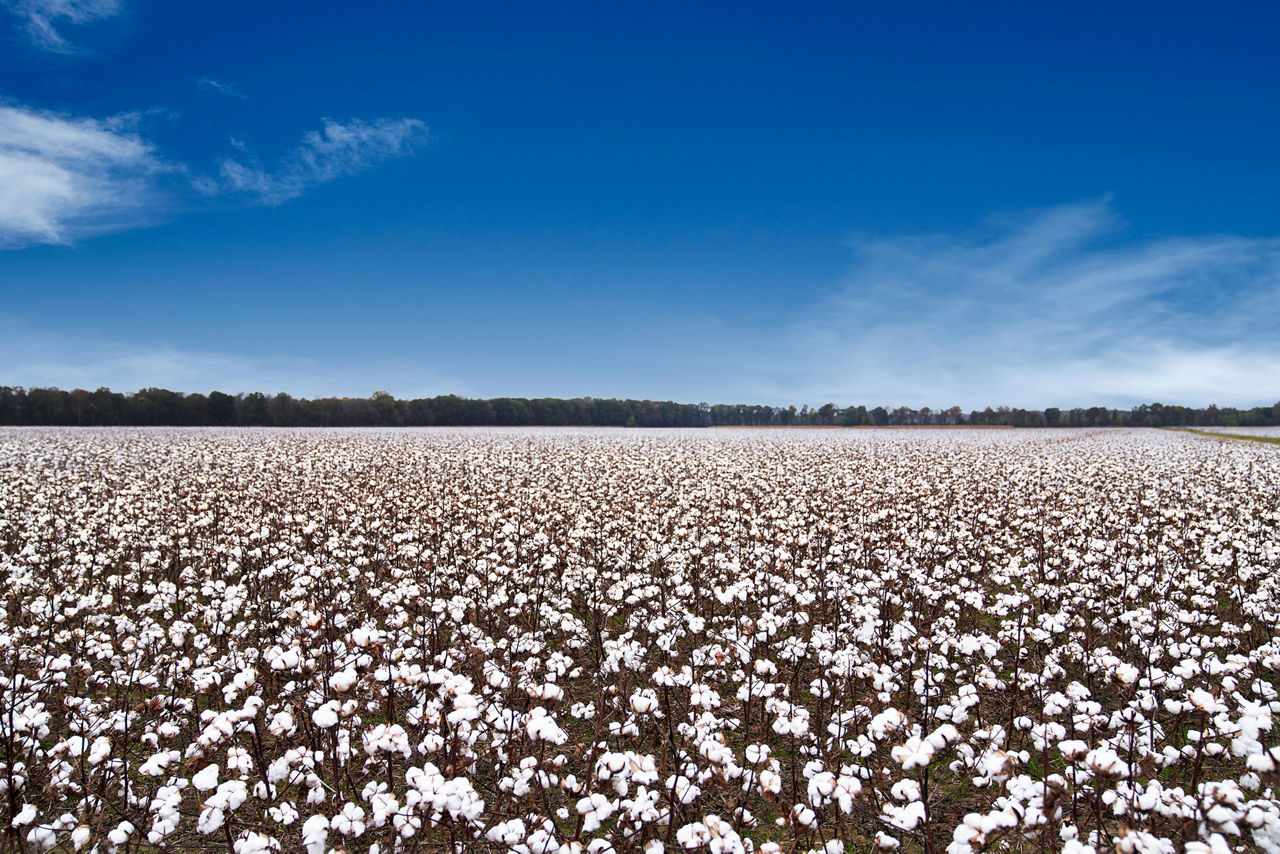 ThryvOn Technology | Crop Science US