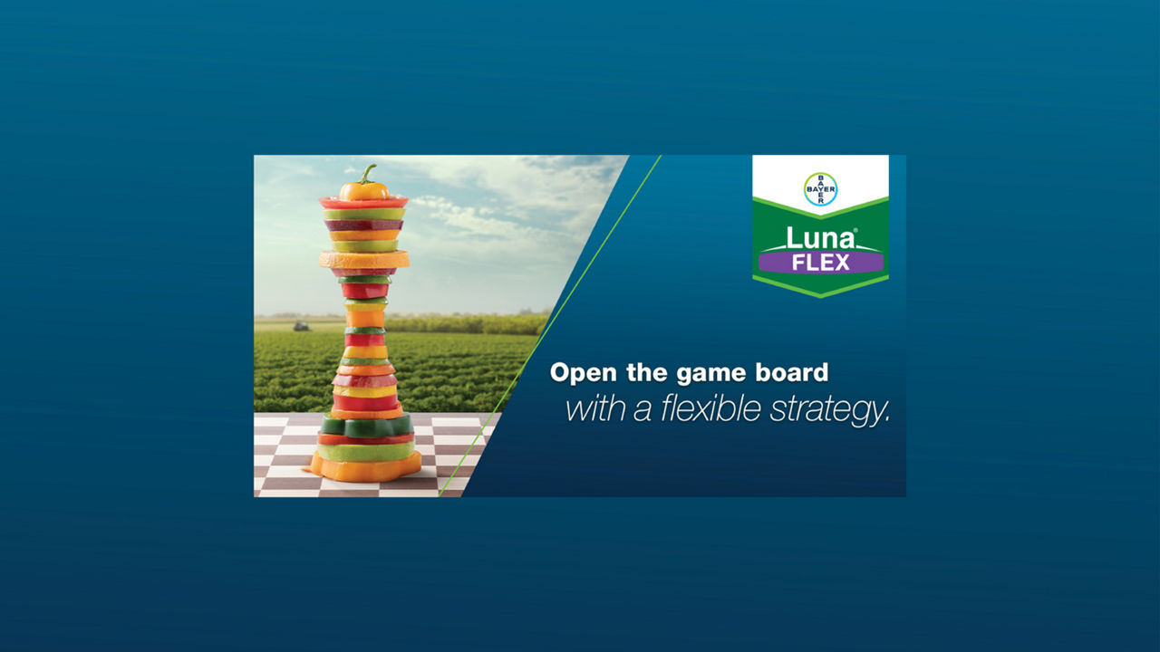 Flexible Strategy from Luna® Flex Fungicide | Crop Science US