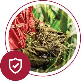 #TraitAnswers | What Makes SmartStax® Pro with RNAi Technology ...