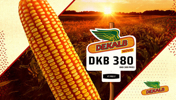 Dekalb | Agro Bayer