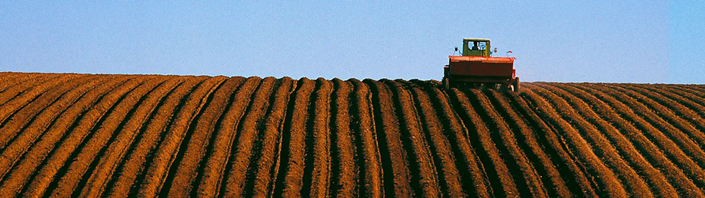 Optimal Seeding Rate | Crop Science US