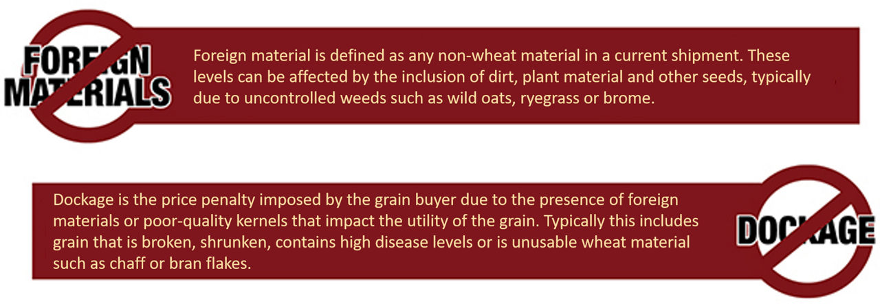 Limiting Foreign Materials, Dockage in Wheat | Crop Science US