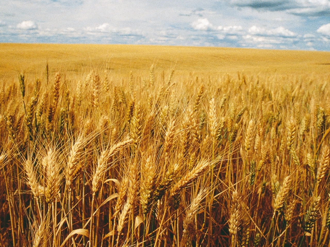 Naudinga žinoti | Bayer