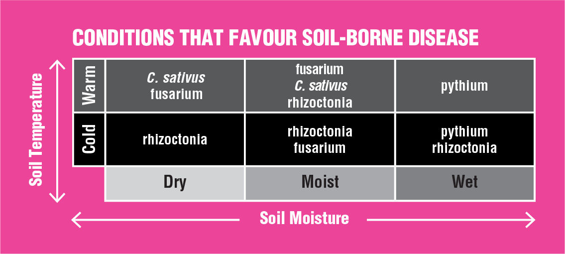 Growing your potential with Raxil PRO | Bayer Crop Science Canada