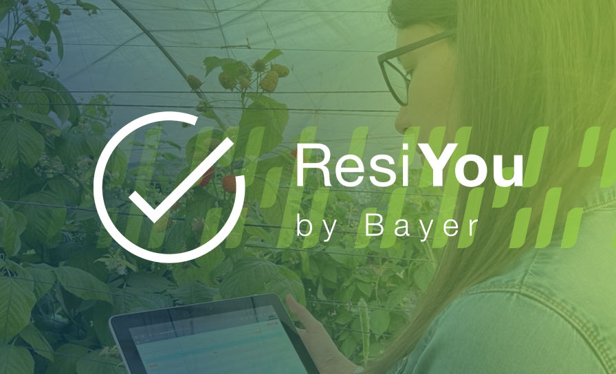 Herramientas Digitales | Bayer