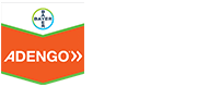 Adengo | Agro Bayer