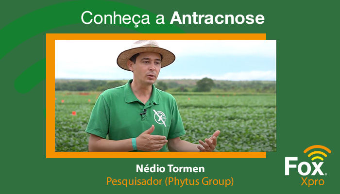 Fungicida Fox® Xpro | Agro Bayer