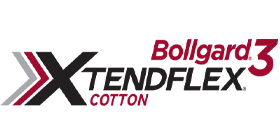 Bollgard® 3 XtendFlex® Cotton Technology | Bayer Traits | Crop Science US
