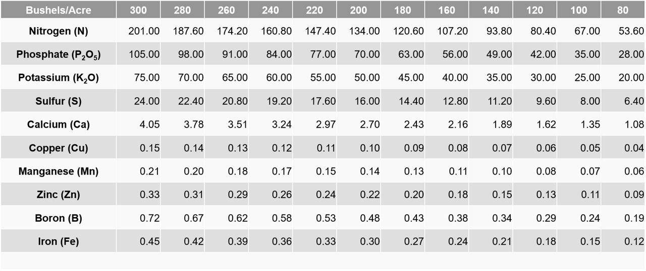 Corn Nutrition 101 | Crop Science US