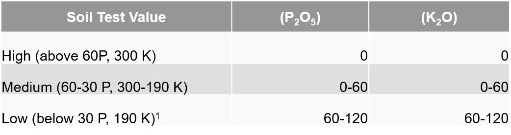 Corn Nutrition 101 | Crop Science US
