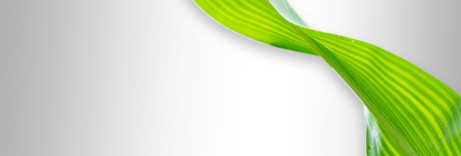 Delaro® Complete Fungicide | Crop Science US