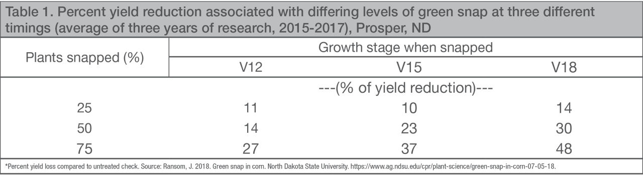 1214_45497 Effect of Greensnap Injury on Corn Yield 5018_S2 | Crop ...