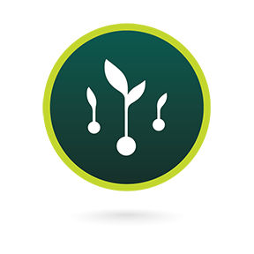 About | Channel® Seed Brand | Crop Science US