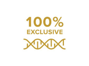 DEKALB | Corn Seed | Top Products | Crop Science US