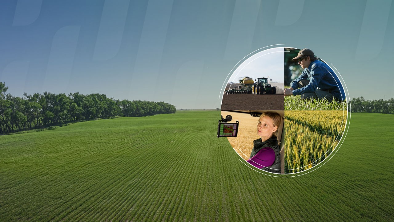 Cereal Crop Protection: Strong Defense from Seed to Harvest | Crop ...