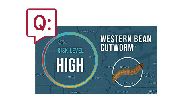 Trecepta® Technology | Crop Science US