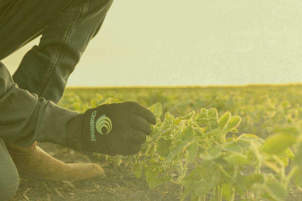Channel® Brand Seed | Crop Science US