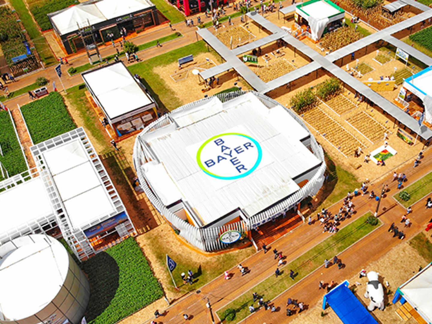 Bayer marca presença na Expodireto Cotrijal com sementes adaptadas e ...