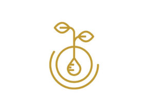 DEKALB | Corn Seed | Top Products | Crop Science US