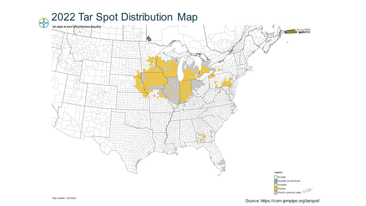 Understanding Tar Spot: Impact on Midwest Corn Yield | Crop Science US