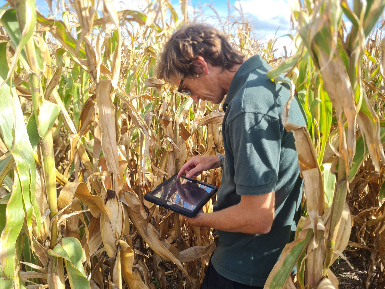 Si es Agro, es Bayer | Agro Bayer